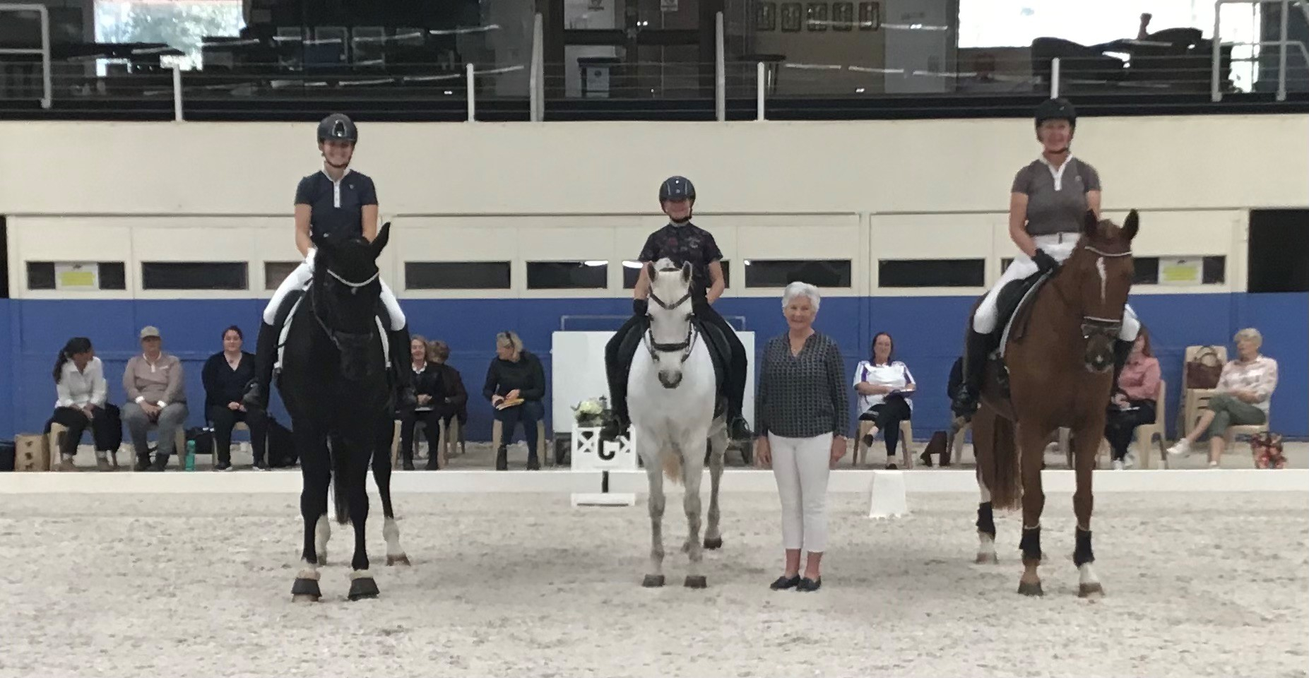 Dressage Judge Workshop Recap! | Equestrian Western Australia